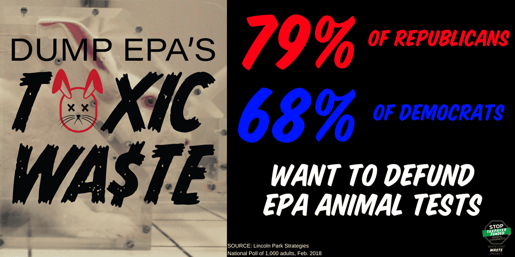 POLL: Supermajority of taxpayers want to stop EPA animal tests — White ...