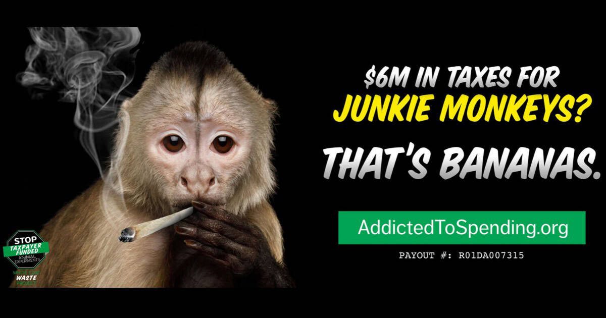VICTORY: Transit agency runs WCW's NIH "Junkie Monkey" ads — White Coat ...