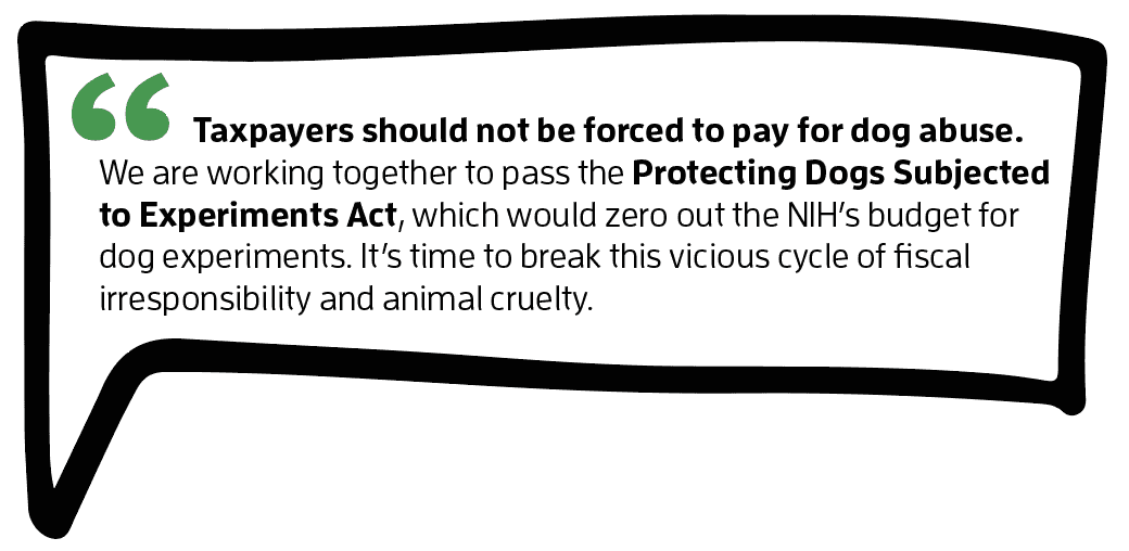 OP-ED: STEUBE And BELLOTTI: It’s Time To Defund Government Dog Abuse ...