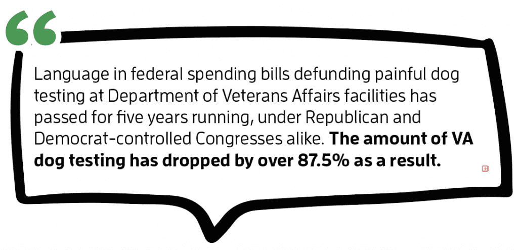 OP-ED: STEUBE And BELLOTTI: It’s Time To Defund Government Dog Abuse ...