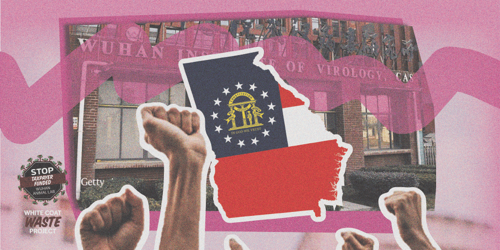 Rule of 3: Georgia Joins States Calling for Wuhan Animal Lab ...