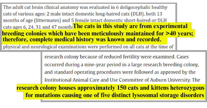WCW Investigation: This Lab Breeds Sick Kittens For Deadly Taxpayer ...