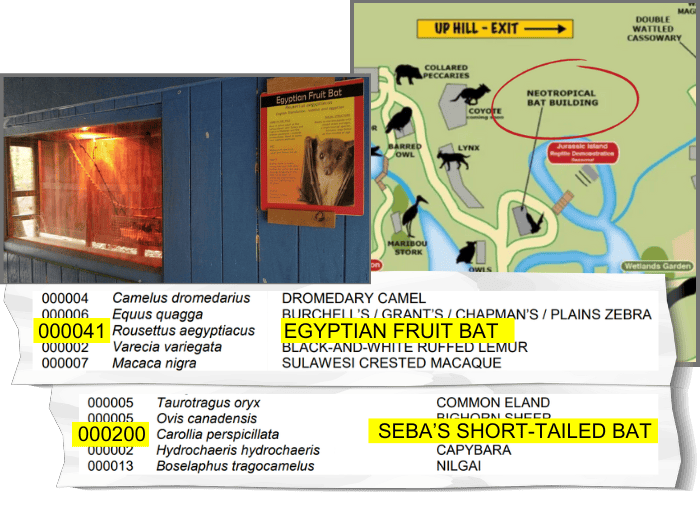 Horror Show: Shady Zoo Sent Bats to NIH to Be Infected with a Wuhan Lab ...