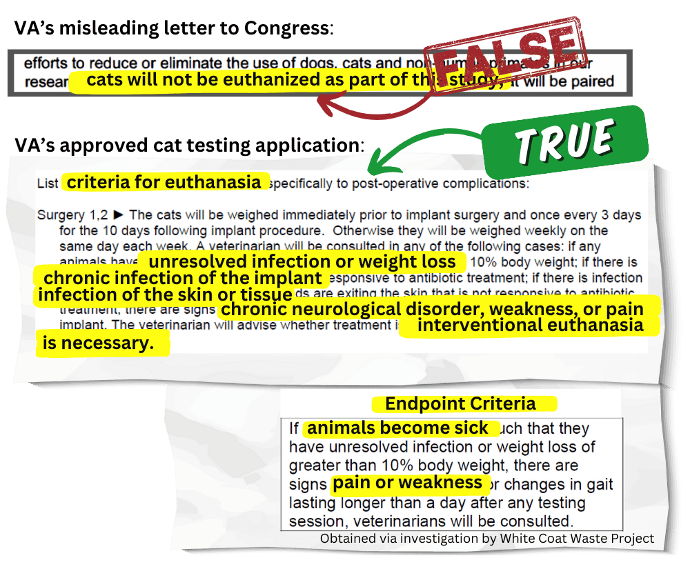 BUSTED: VA Caught Lying to Lawmakers to Defend Illegal Cat Testing Plan ...