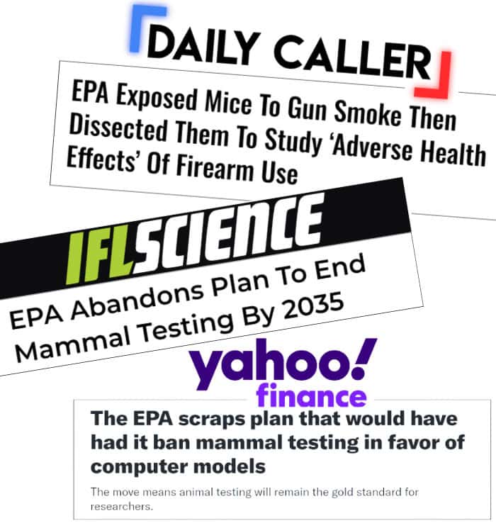 WCW’s EPA Animal Testing Exposé Makes Headlines & Waves in Washington ...