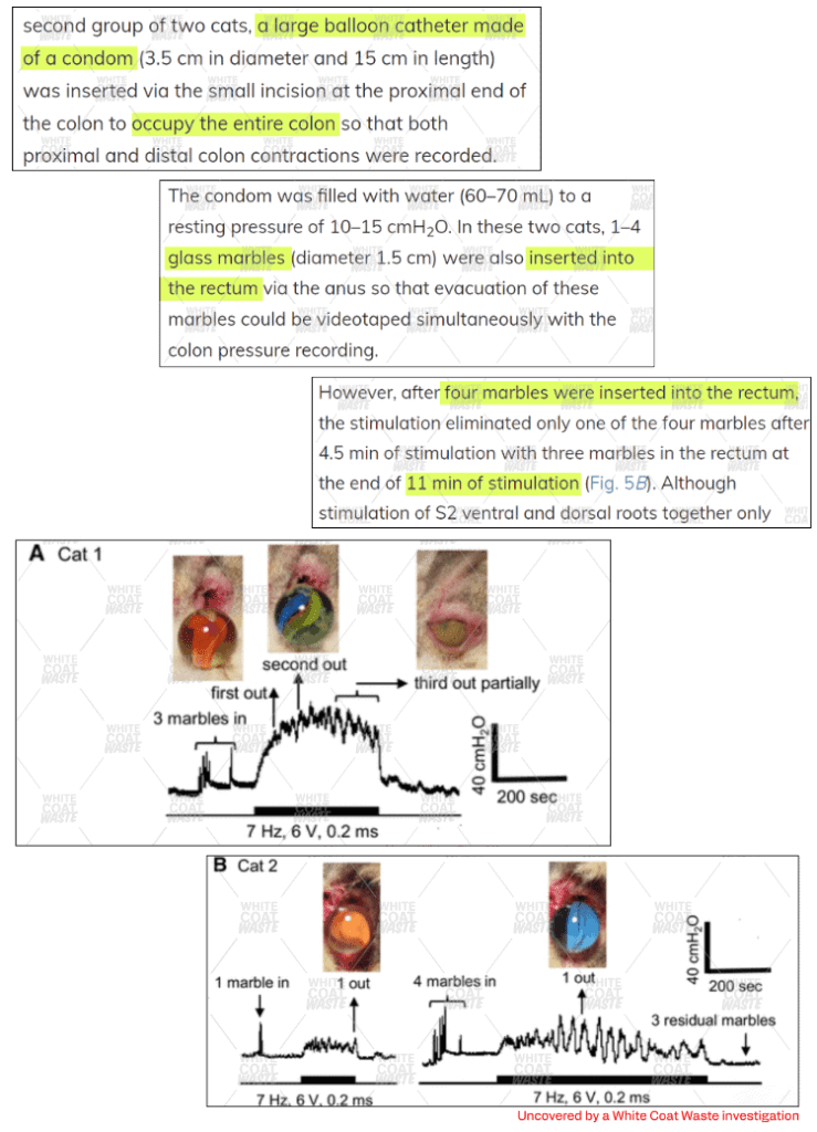 WCW Investigation: Pentagon Pays Lab to Electro-Shock Cats, Force ...