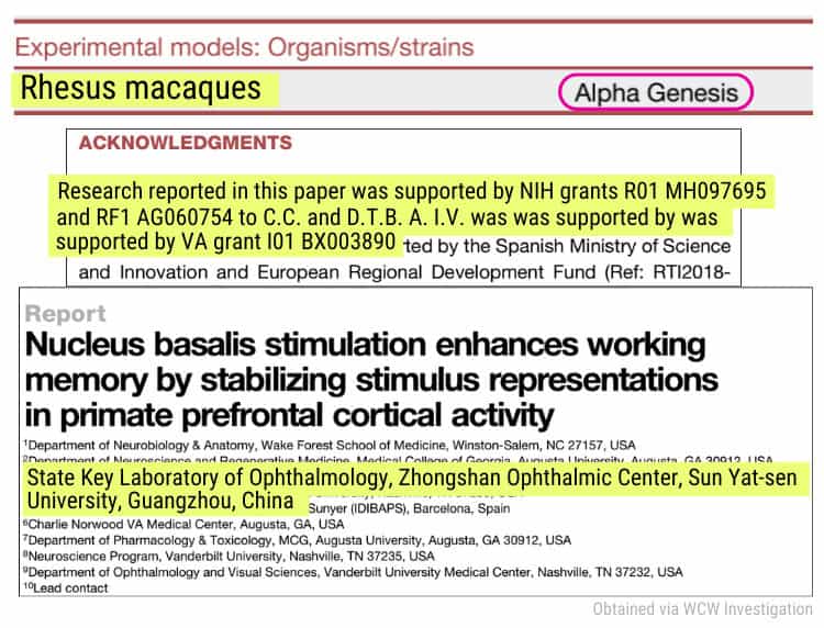 WCW Investigation: Primates Abused in Tax-Funded Lab Working with Iran ...
