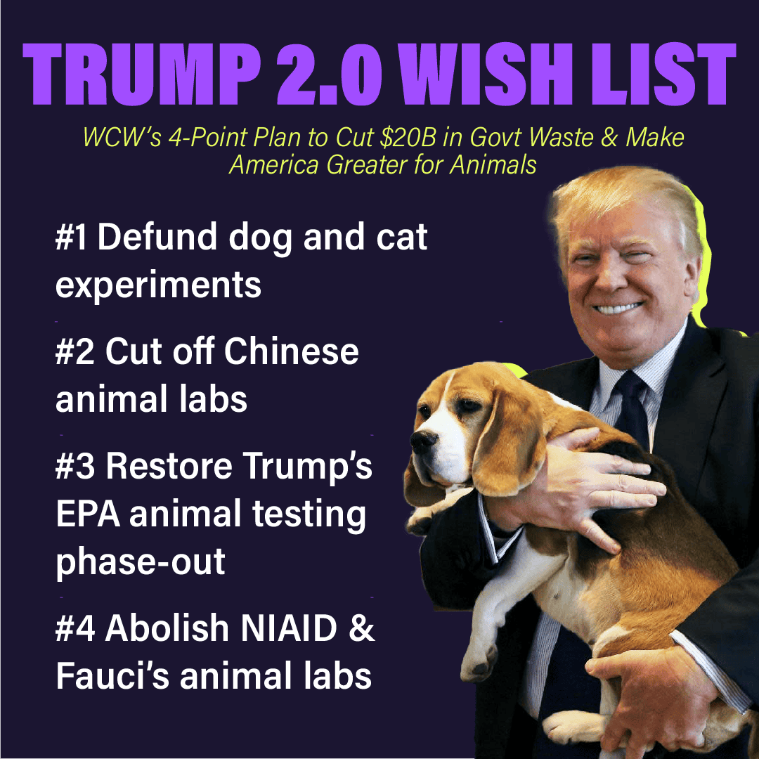 WCW Plan for Trump & DOGE Gets Warm Welcome in Washington — White Coat ...
