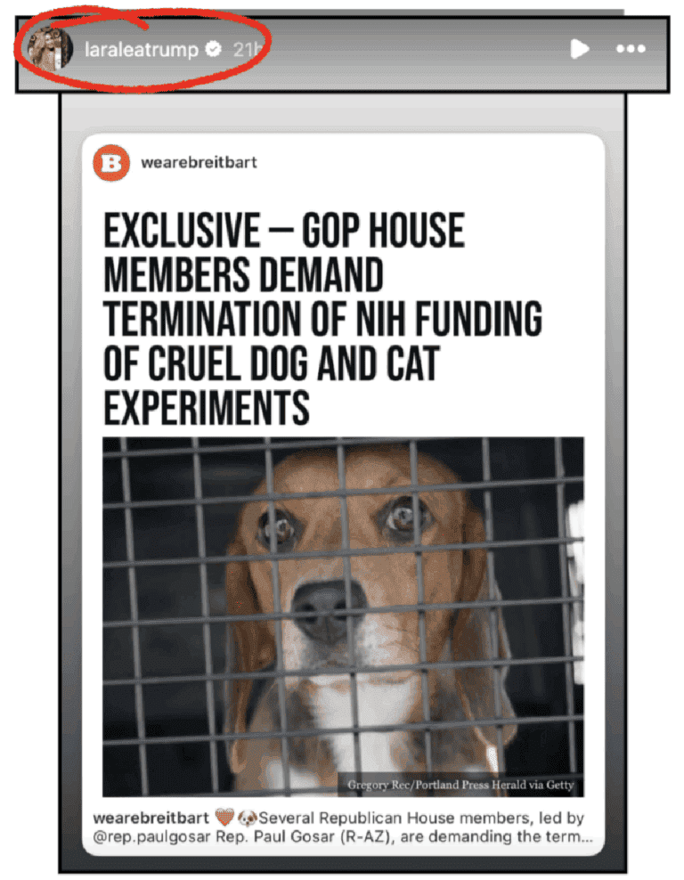 NIH Digs In on Fauci’s Dog and Cat Labs. WCW Sparks Congressional ...