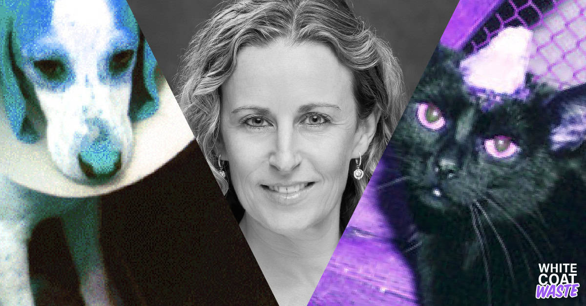 White Coat Waste Forces NIH to Phase Out Dog and Cat Labs — White Coat ...