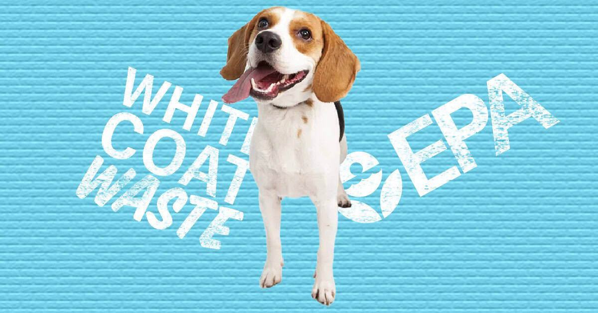 It’s Official: WCW Joins EPA to Announce 2035 Animal Testing Phase-Out ...