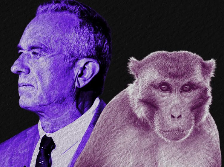 WCW Investigation: $30M in New NIH Monkey Lab Funding Undermines RFK ...
